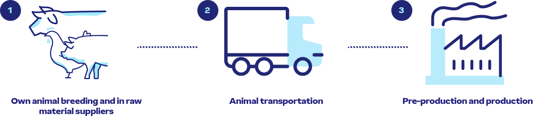 Animal Welfare Management | JBS